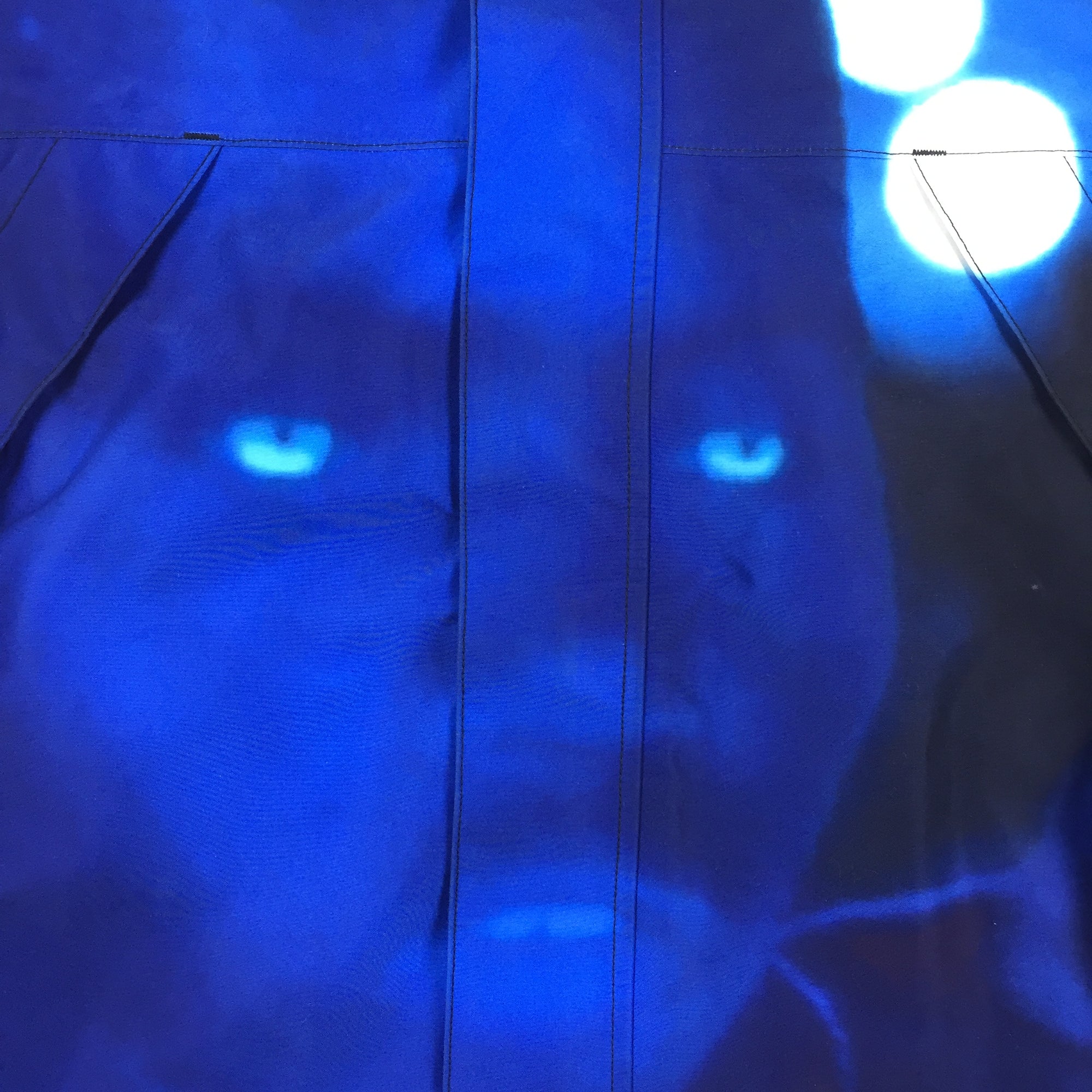 2021 Supreme NAS DMX GORE-TEX Blue Shell Jacket